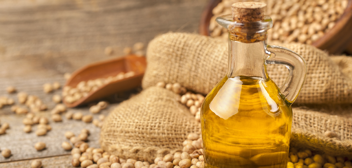 7 Features of the Oil Expeller Press - Anderson International Corp