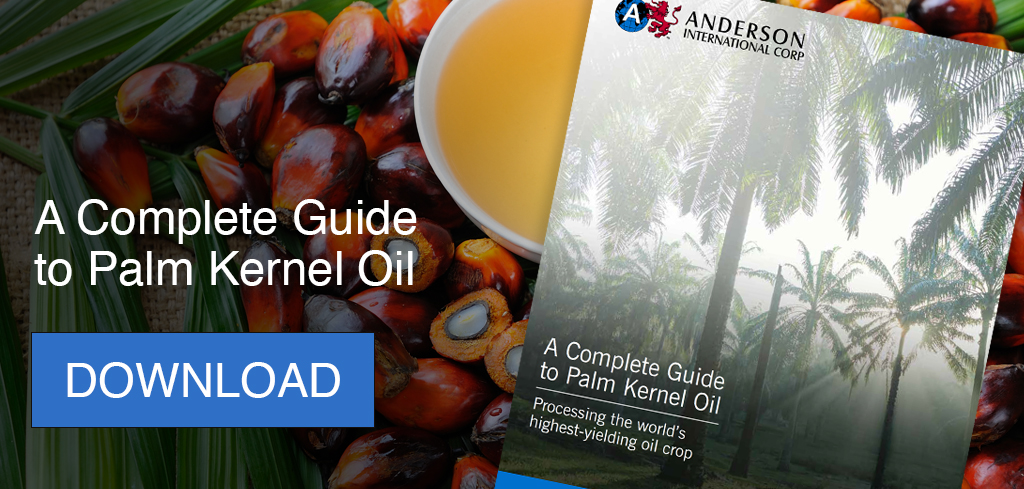 Palm oil vs. palm kernel oil: Two everyday products from the same tree