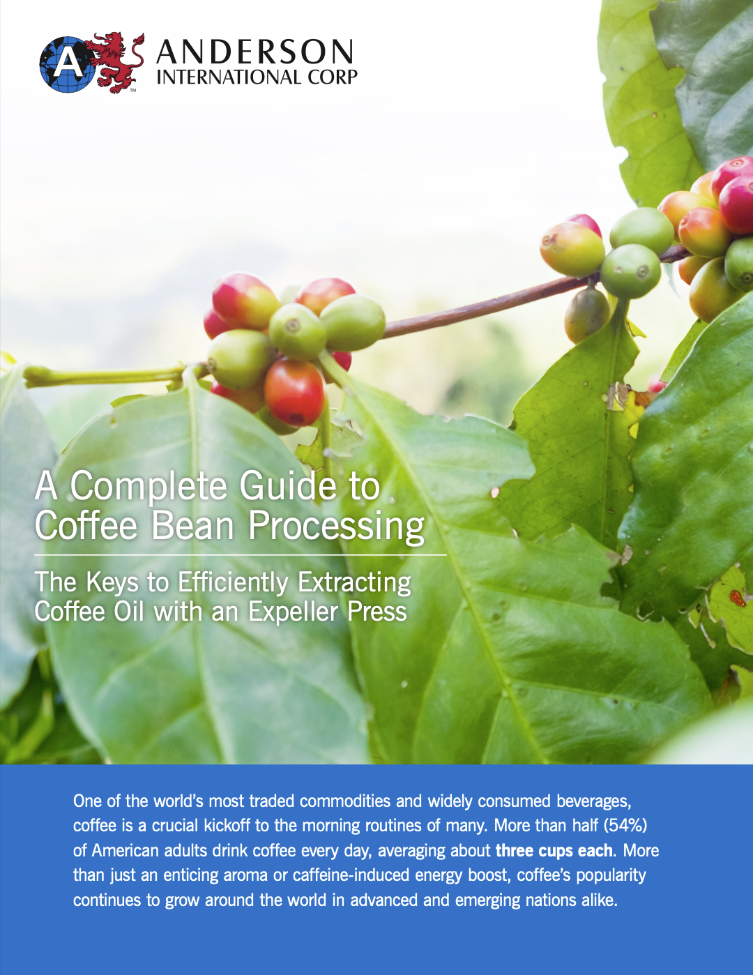 A Complete Guide to Coffee Bean Processing