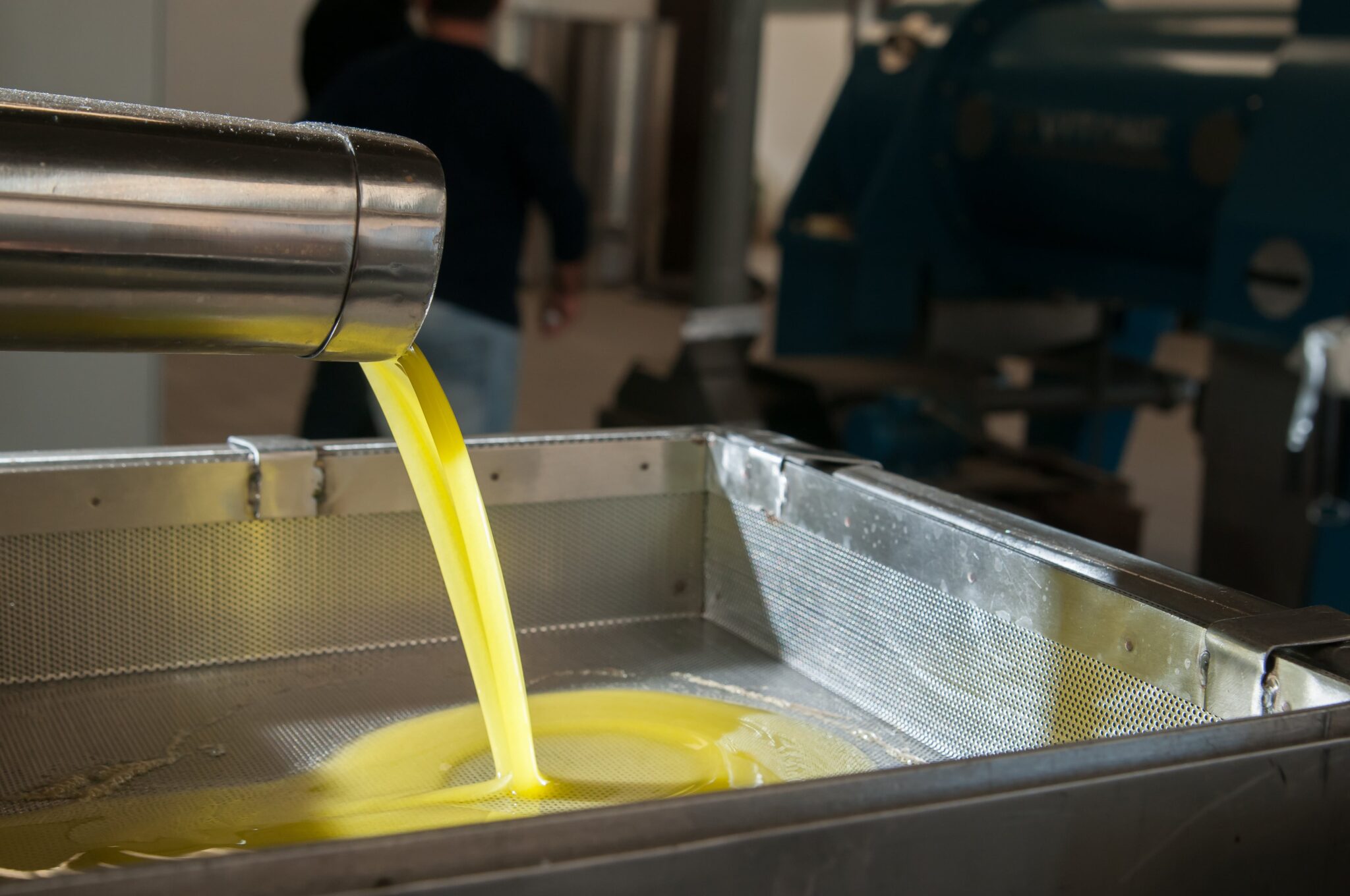 Maximize your oil mill’s profits with an oil screening tank - Anderson ...