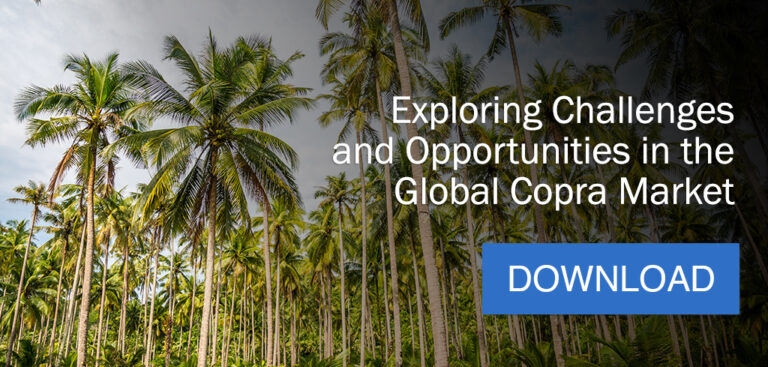 Understanding the Current Copra Market - Anderson International Corp